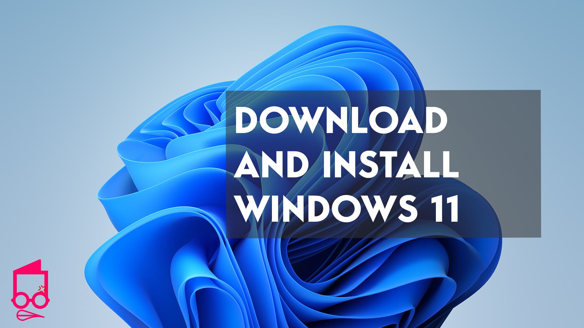 How to Download and Install Windows 11? • The Washington Dispatch